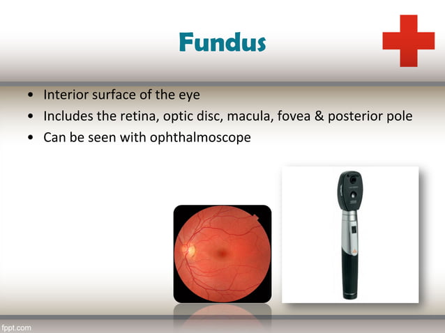 Ophthalmology | PDF | Eye and Vision Conditions | Diseases and Conditions