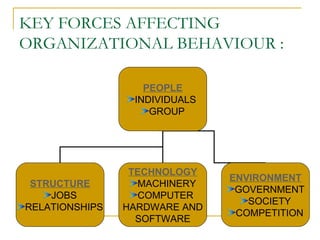 organizational behaviour | PPT