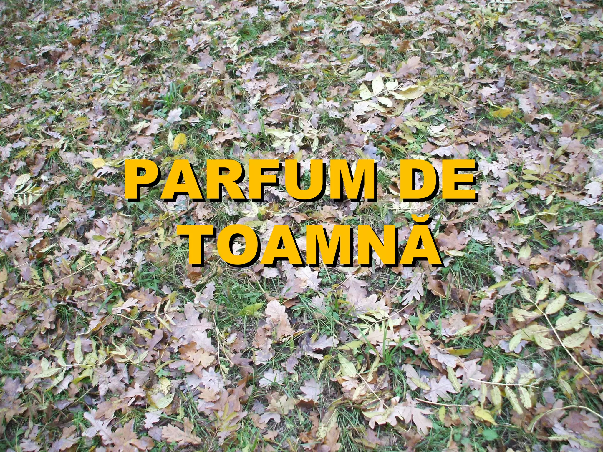 EMOTIE DE TOAMNA-1224312917278465-8 | PPT