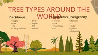 Copy of Parts & Types of Trees Nature Lesson .pptx