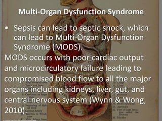 Copy of pathophysiology | PPT