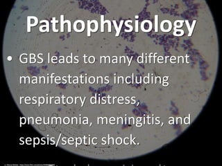 Copy of pathophysiology | PPT