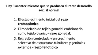 FISIOLOGIA SISTEMA REPRODUCTOR MACHO EN ANIMALES | PPTX