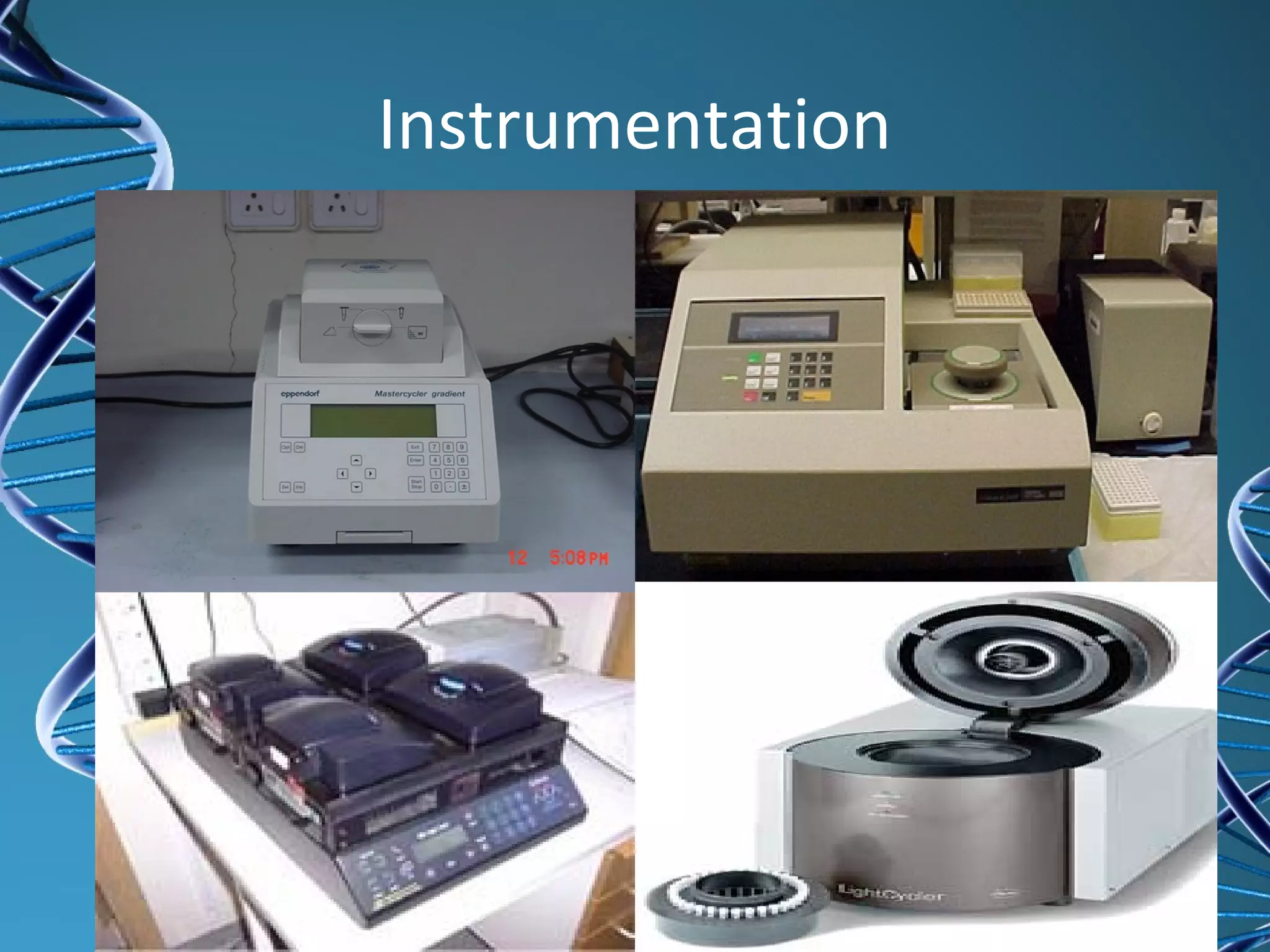 Polymerase chain reaction | PPT