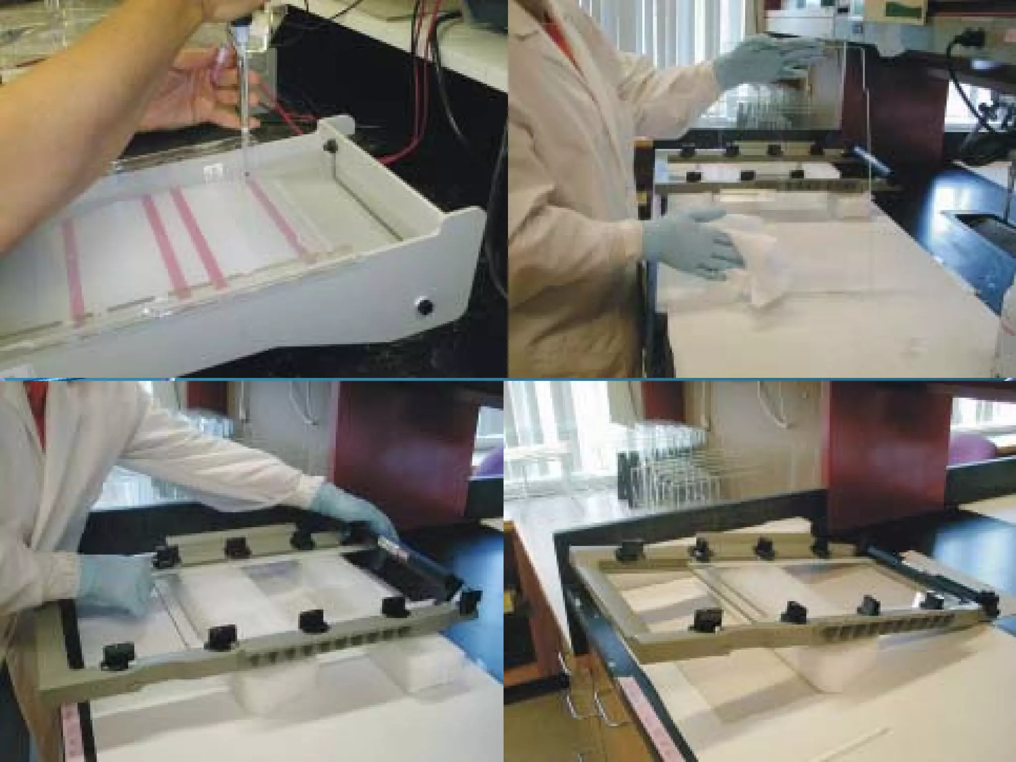 Polymerase chain reaction | PPT