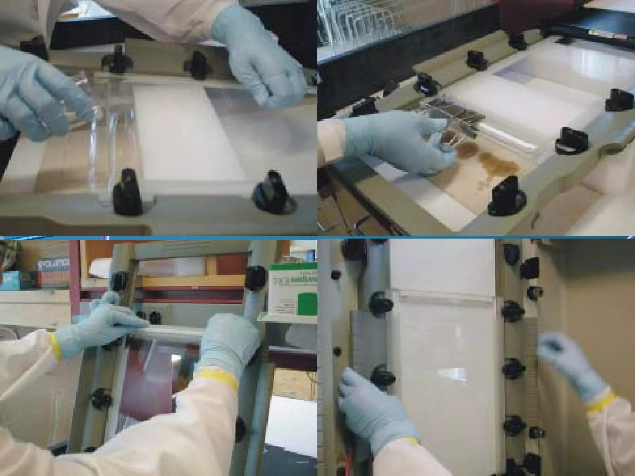 Polymerase chain reaction | PPT