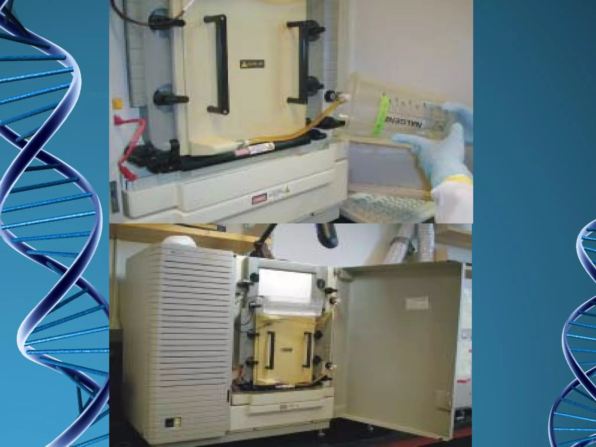 Polymerase chain reaction | PPT