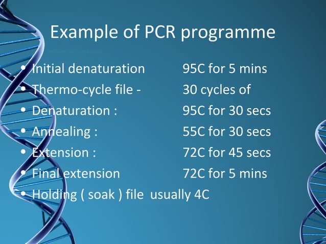 Polymerase chain reaction | PPT | Genetics | Science