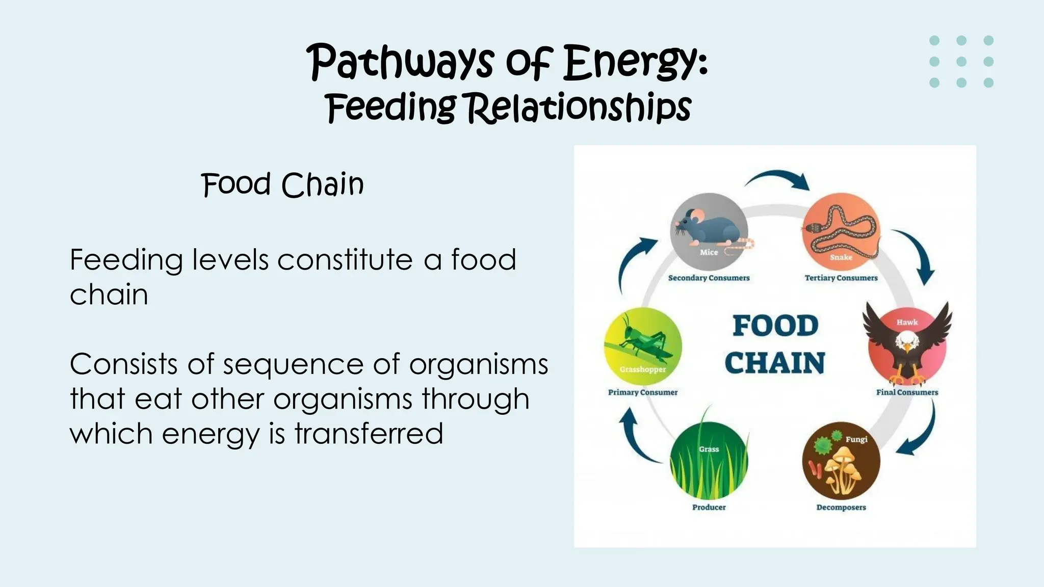 Copy of People and Earth's Ecosystem Modules 1-3.pdf