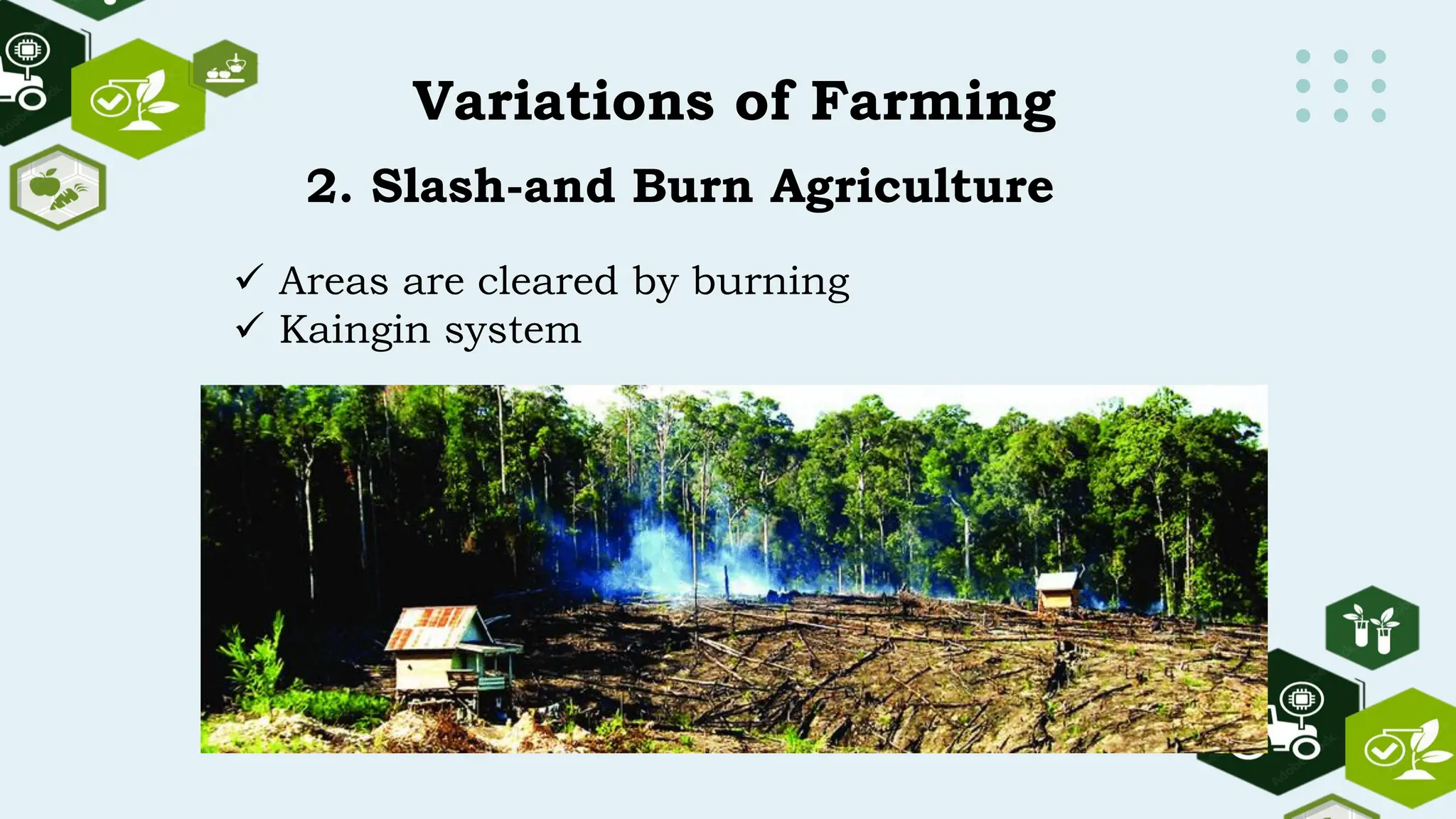 Copy of People and Earth's Ecosystem Modules 1-3.pdf