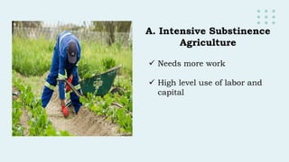 Copy of People and Earth's Ecosystem Modules 1-3.pdf