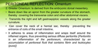 Copy of PERITONEUM AND PERITONEAL CAVITY.pptx