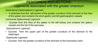 Copy of PERITONEUM AND PERITONEAL CAVITY.pptx