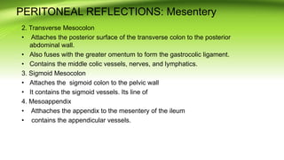 Copy of PERITONEUM AND PERITONEAL CAVITY.pptx