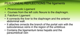 Copy of PERITONEUM AND PERITONEAL CAVITY.pptx
