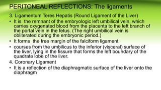 Copy of PERITONEUM AND PERITONEAL CAVITY.pptx