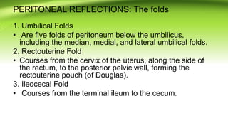 Copy of PERITONEUM AND PERITONEAL CAVITY.pptx