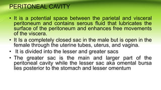 Copy of PERITONEUM AND PERITONEAL CAVITY.pptx