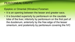 Copy of PERITONEUM AND PERITONEAL CAVITY.pptx