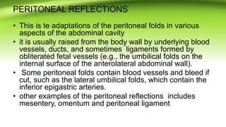 Copy of PERITONEUM AND PERITONEAL CAVITY.pptx