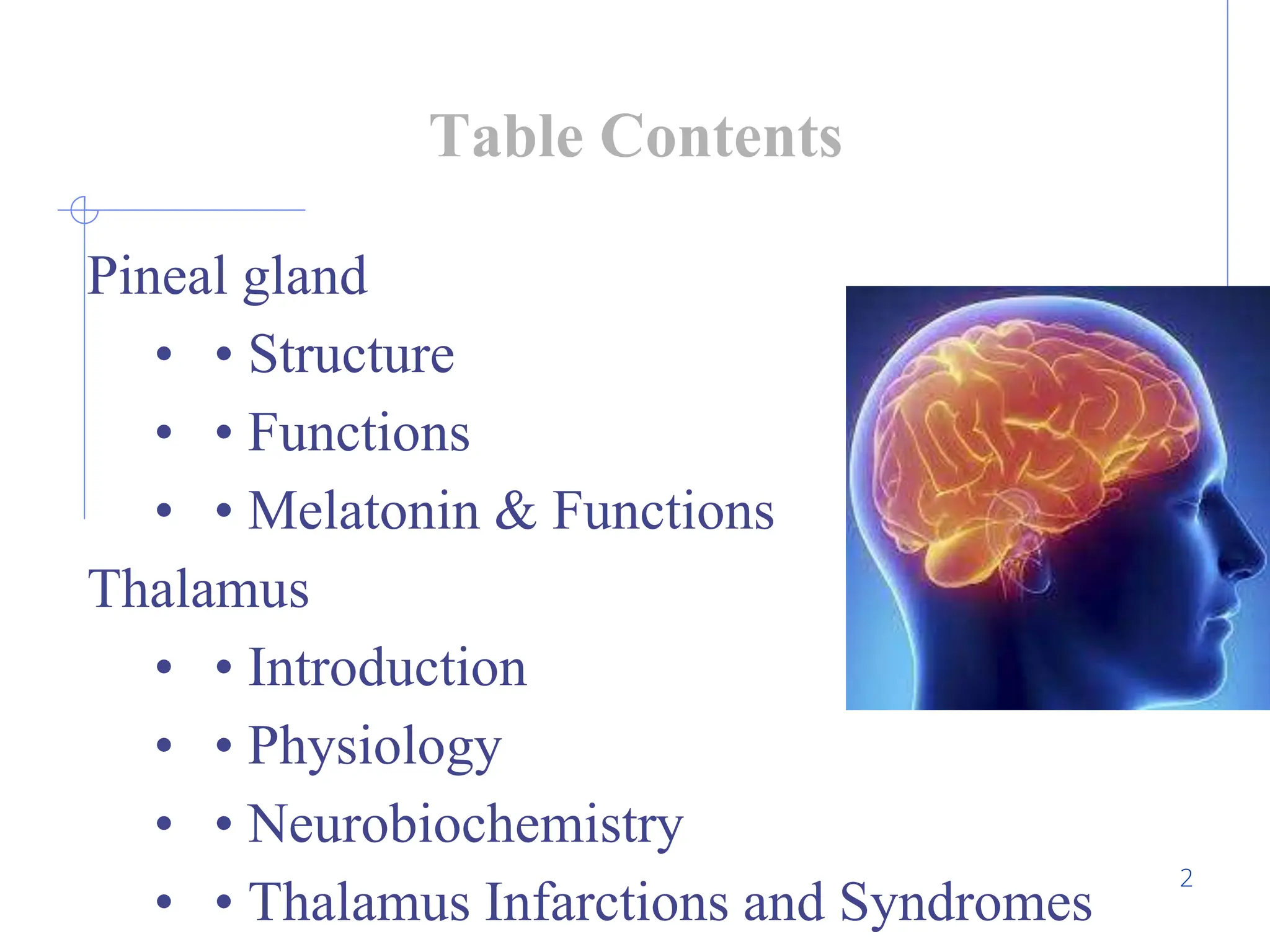 pineal gland and thalamus ppt from sensory chapter of anatomy | PPTX
