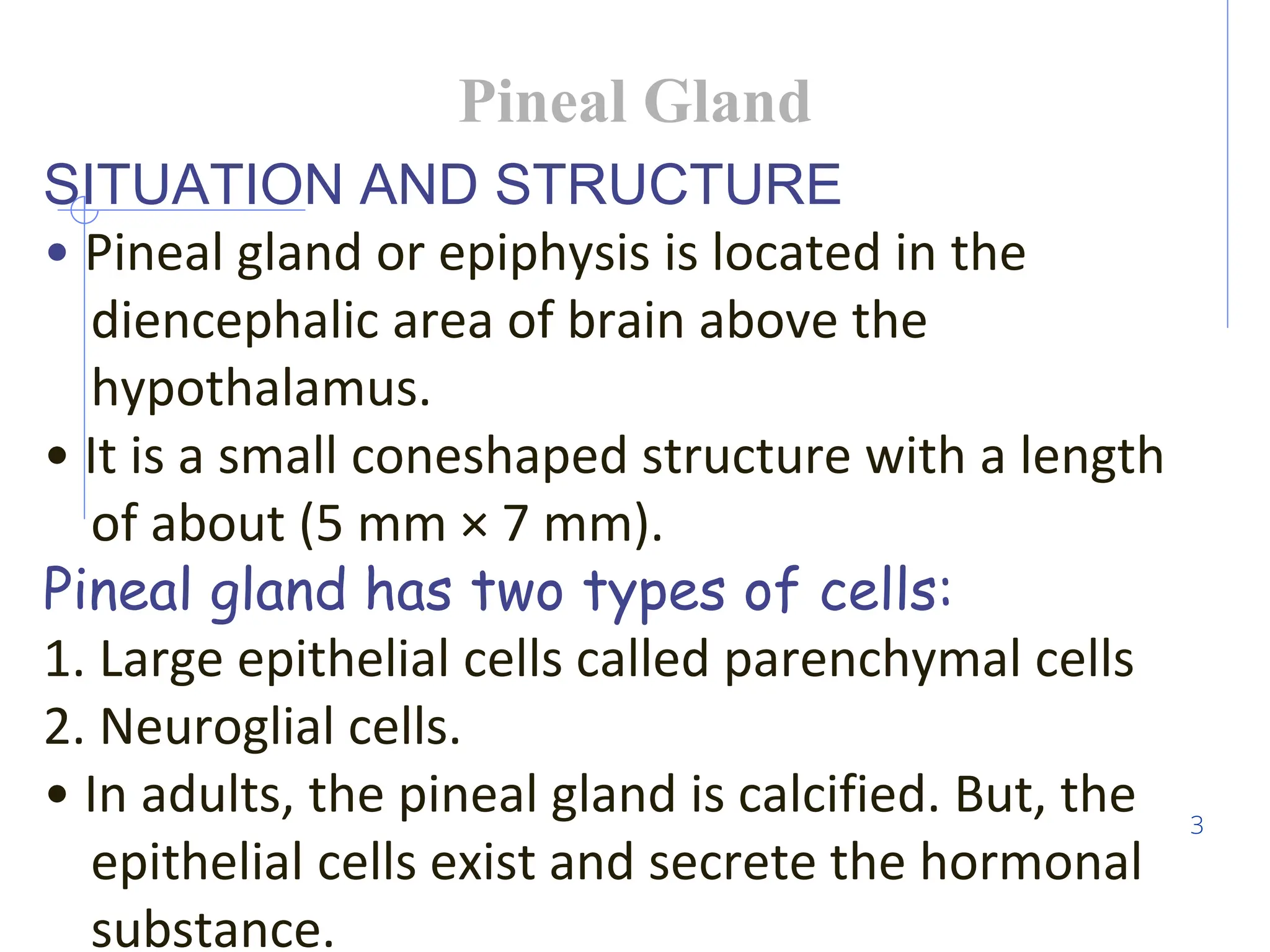 pineal gland and thalamus ppt from sensory chapter of anatomy | PPTX