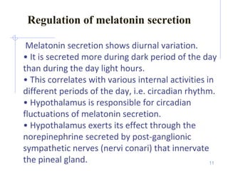 pineal gland and thalamus ppt from sensory chapter of anatomy | PPTX ...