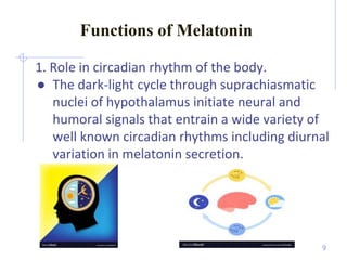 pineal gland and thalamus ppt from sensory chapter of anatomy | PPTX