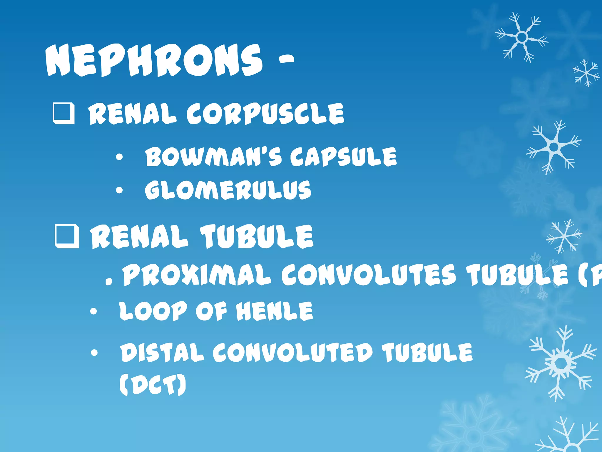 structure of nephrons(bikash) | PPTX