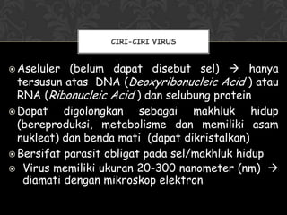Virus | PPT