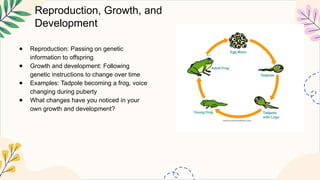 Copy of Presentation Seventh grade.ppt ! | PPTX