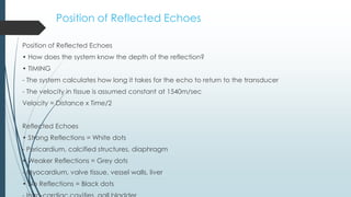 Physical ultrasound | PPT