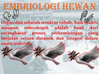prinsip perkembangan hewan | PPTX