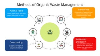 Recycling of Organic Waste and Residue Management | PPTX