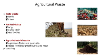 Recycling of Organic Waste and Residue Management | PPTX