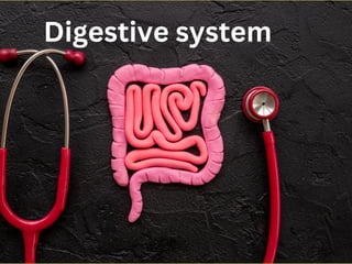 Copy of digestion system in Humans.pdf.pdf