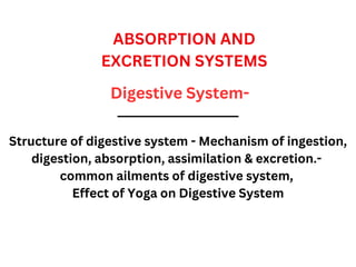 Copy of digestion system in Humans.pdf.pdf
