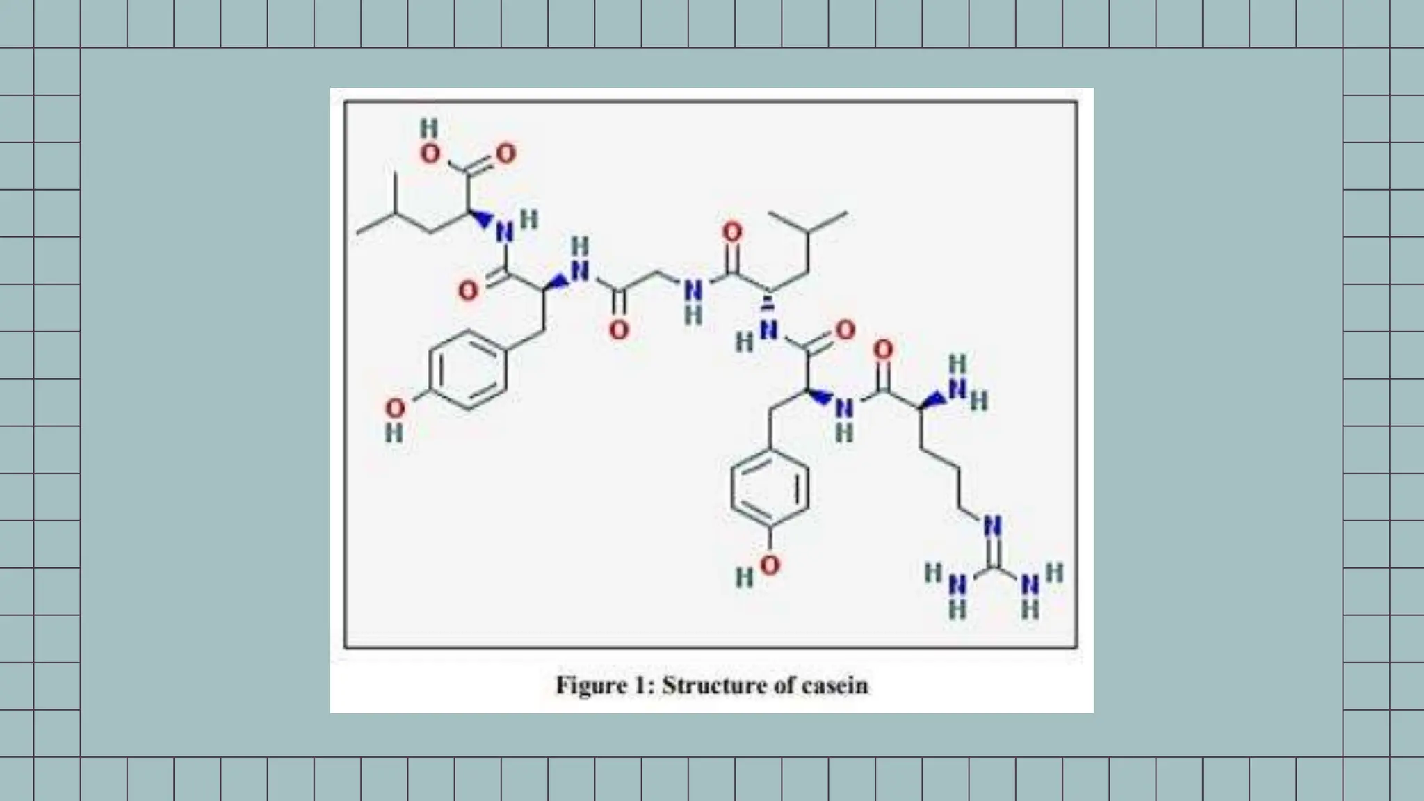 amount of caesin in milk, class 11th.pptx