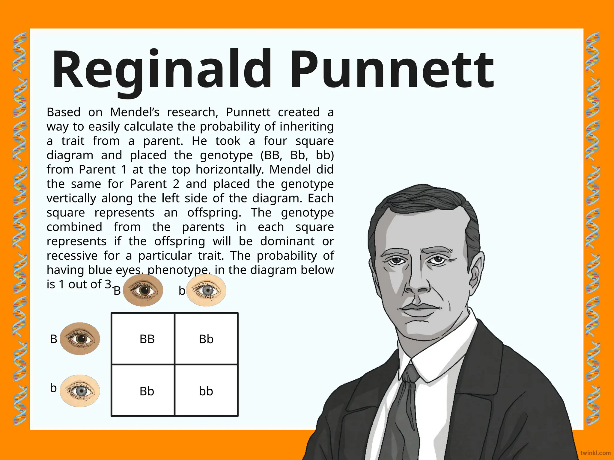 Copy of Seventh Grade Introduction to Genetics PowerPoint & Google ...