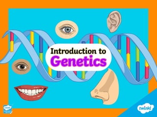 Copy of Seventh Grade Introduction to Genetics PowerPoint & Google ...