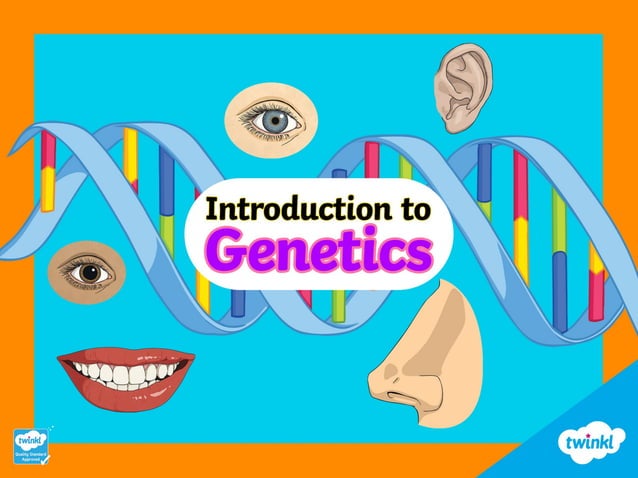 Copy of Seventh Grade Introduction to Genetics PowerPoint & Google ...
