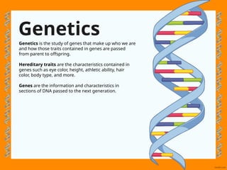 Copy of Seventh Grade Introduction to Genetics PowerPoint & Google ...