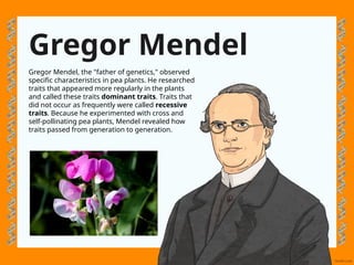 Copy of Seventh Grade Introduction to Genetics PowerPoint & Google ...