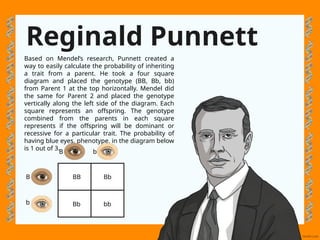 Copy of Seventh Grade Introduction to Genetics PowerPoint & Google ...