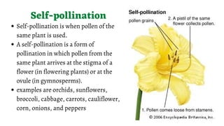 Sexual Propagation Seed Propagation (Version 2) | PDF