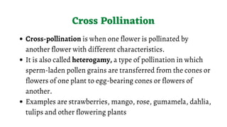 Sexual Propagation Seed Propagation (Version 2) | PDF