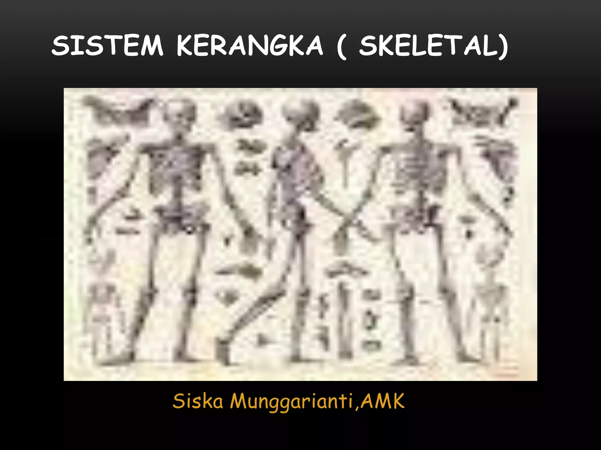 sistem kerangka | PPTX