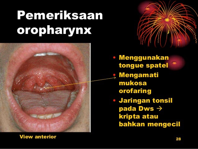 Copy of sistem respirasi bag atas