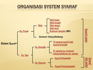 sistem syaraf | PPTX