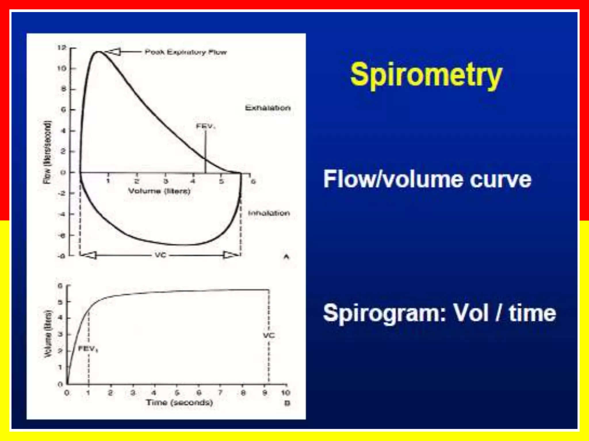Spirometry Basics | PPTX
